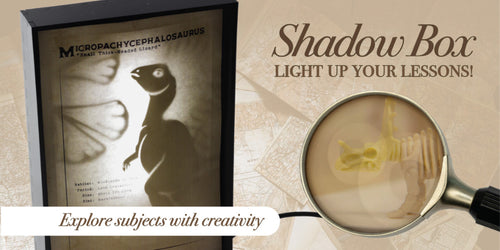 How to make a Shadow Box Dinosaur with Value acrylic and LED strips ...